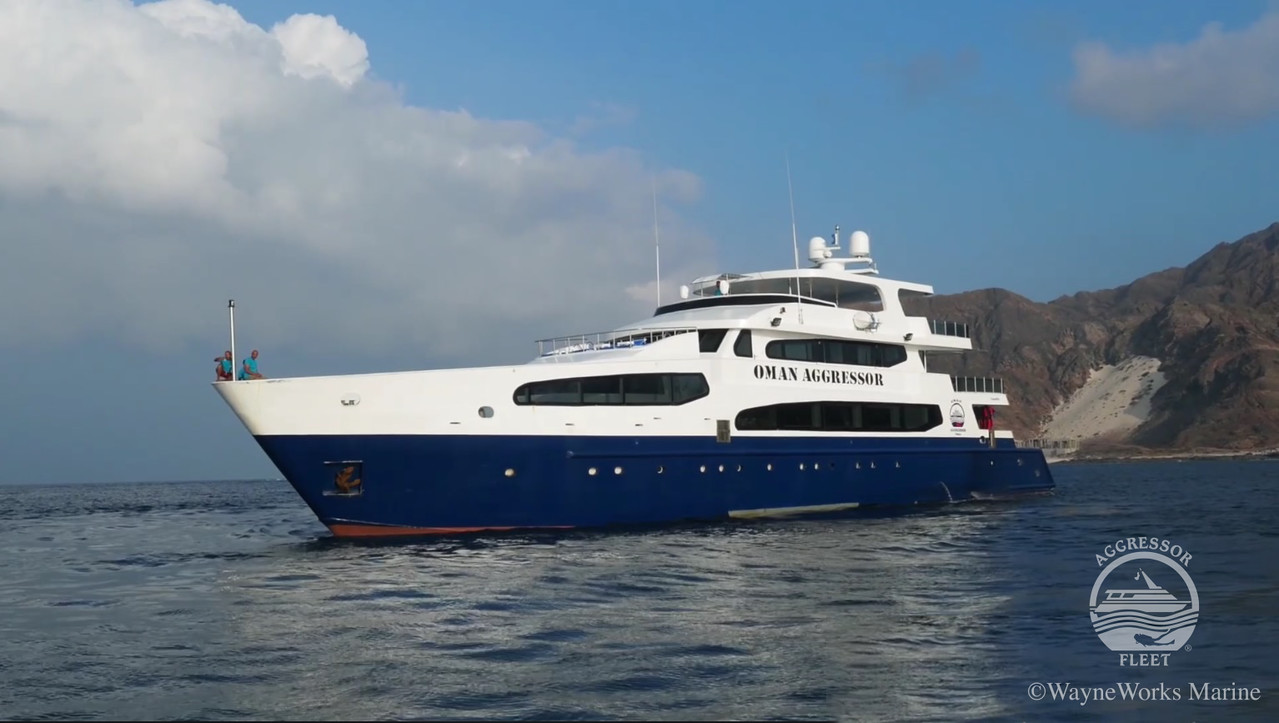 Oman Aggressor Liveaboard, Oman - Divebooker.com