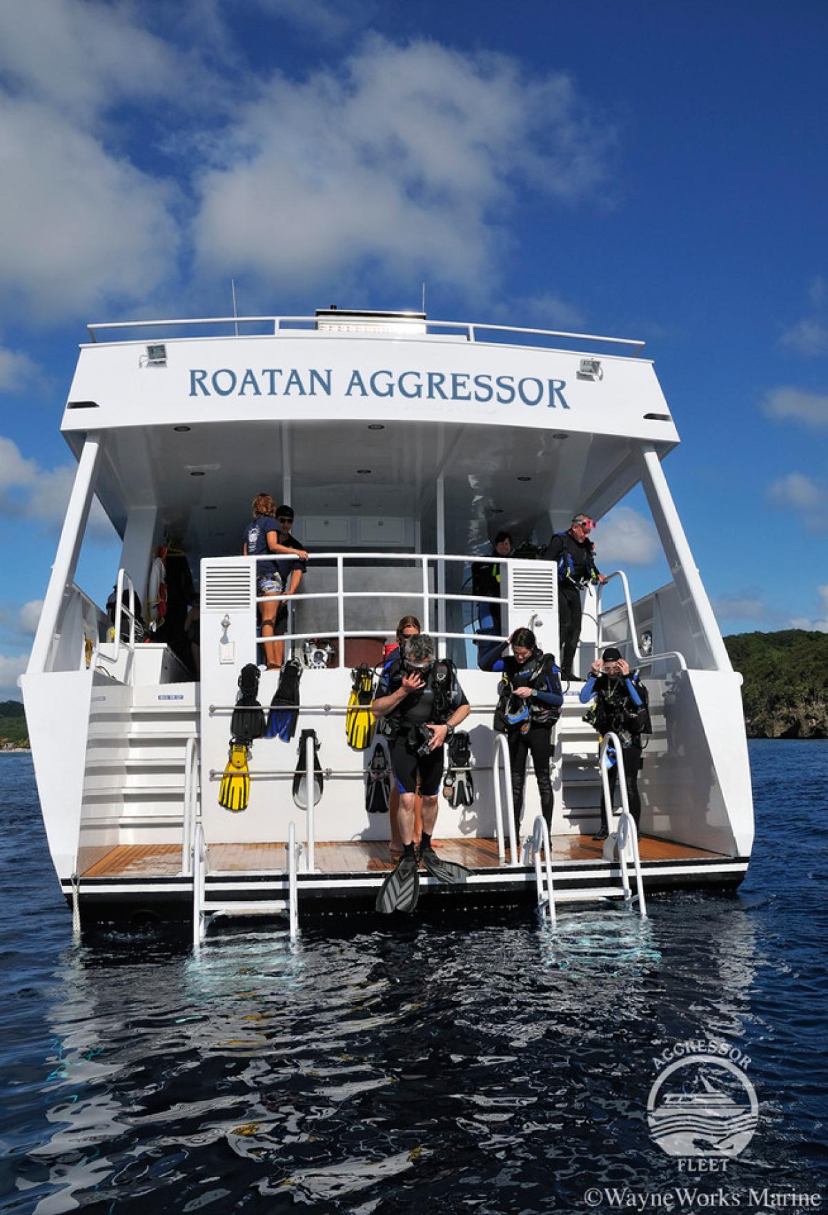 Roatan Aggressor Liveaboard, Honduras - Roatan - Divebooker.com